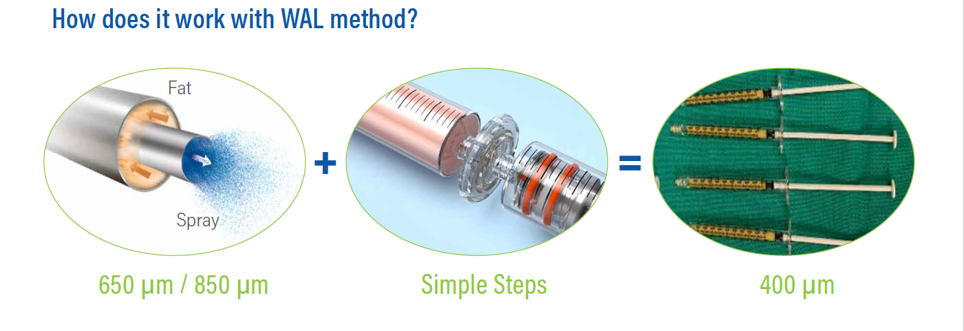 Adinizer – CAREstream America